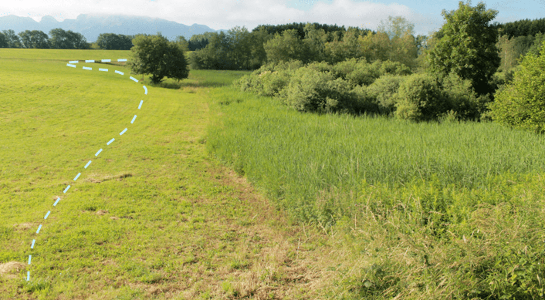 Tout savoir sur les zones humides | Zones humides de Rhône-Alpes